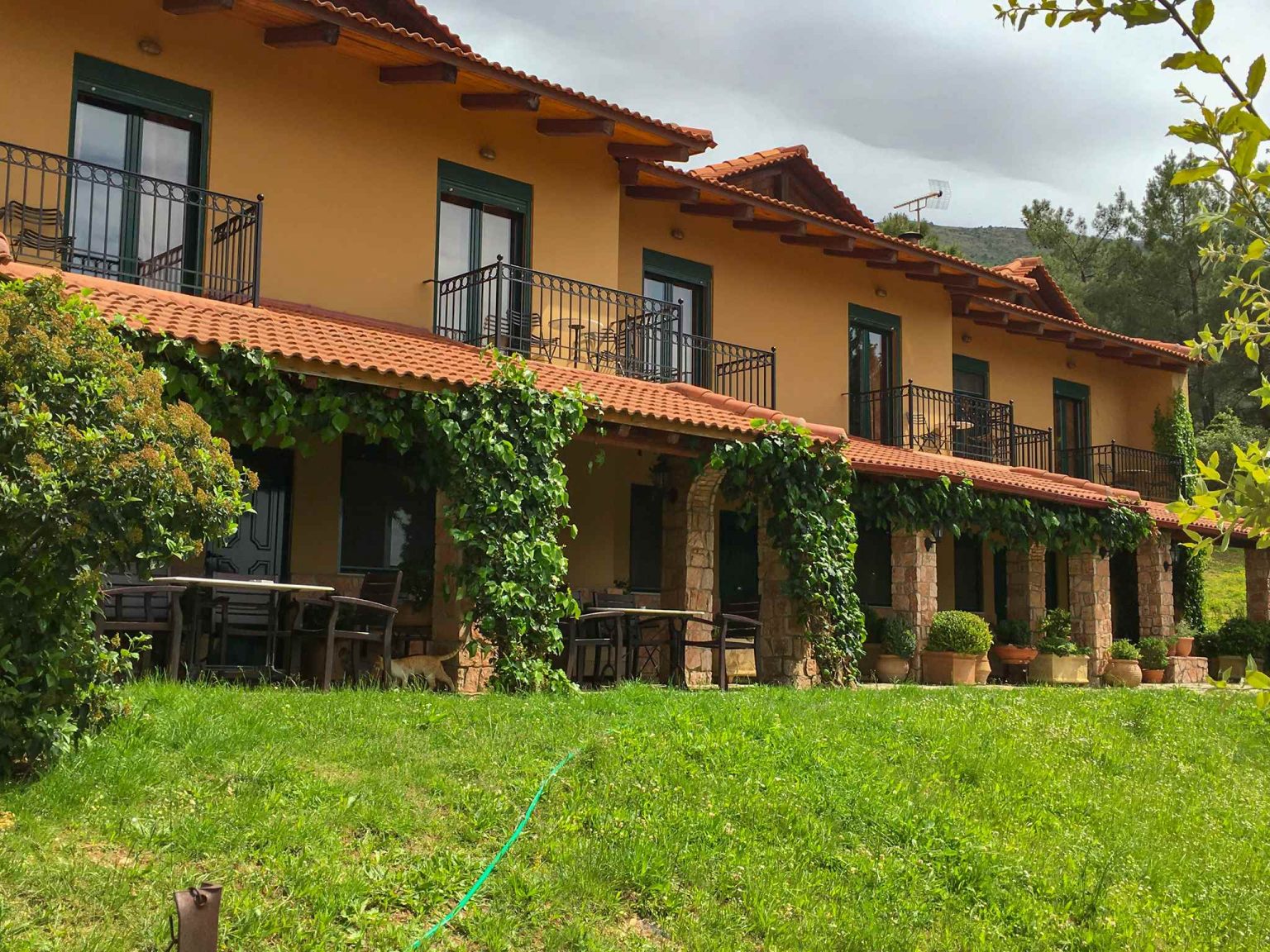 PHOTO GALLERY | Aphrotide Inn, ξενώνας Αφροδίτη, Καλάβρυτα, διαμονή ...